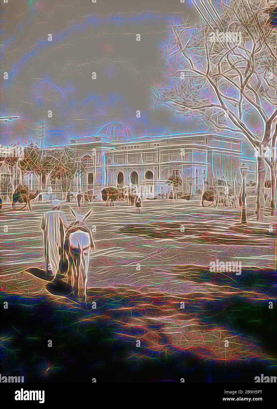 Egyptian views; Cairo (Masr). Museum of Cairo, exterior. 1900, Egypt ...