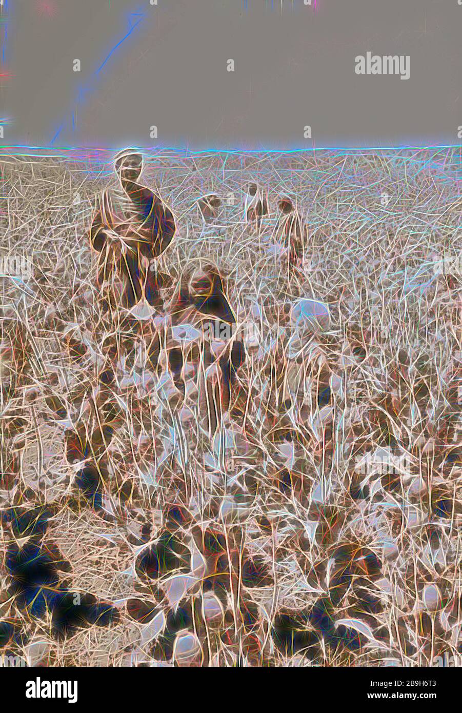 Egyptian characters, etc. Gathering opium from seed pods of the poppy ...