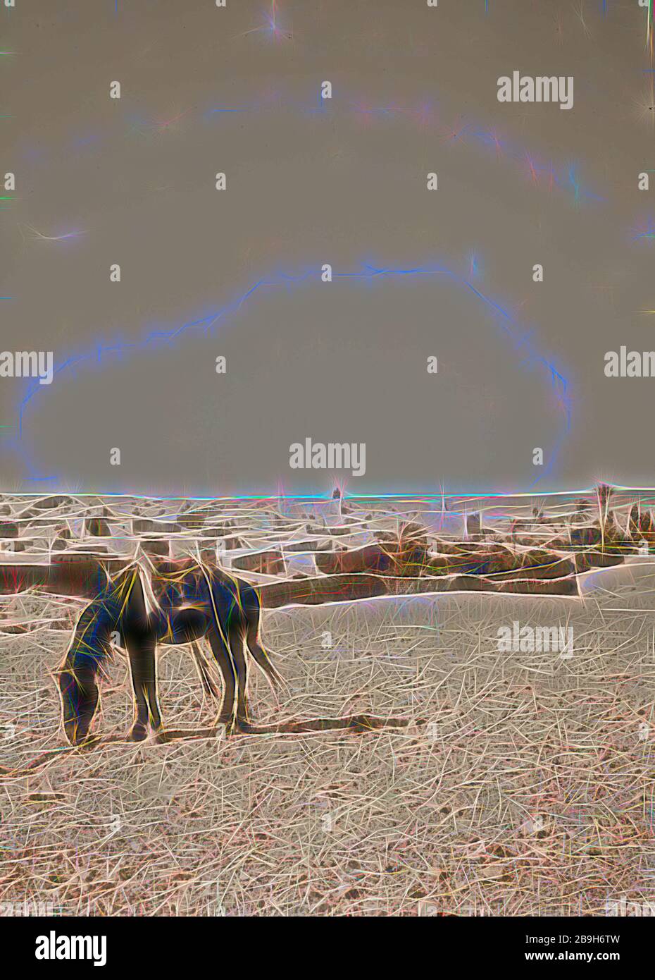 Petra in Transjordan. General view of el-Ma'an. 1900, Jordan, Maʻān ...