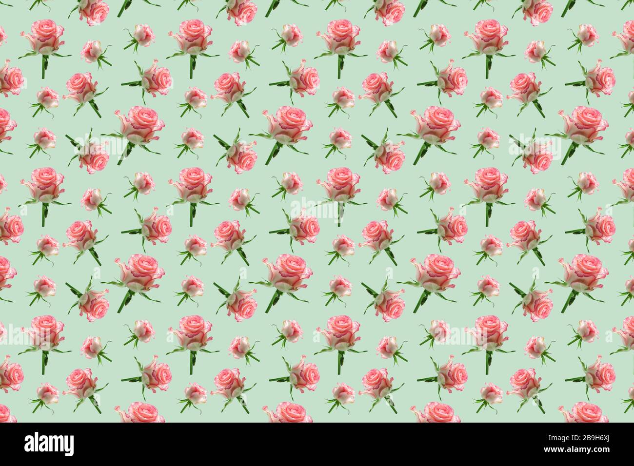 Wallpaper seamless pink flower pattern on pastel green background ...