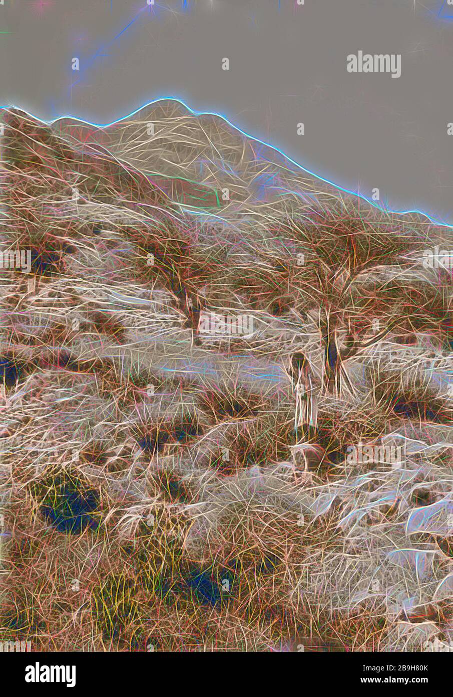 Around the Dead Sea Scene at 'Ain Jiddy. 1900, Mountains, Shrubs, The ...