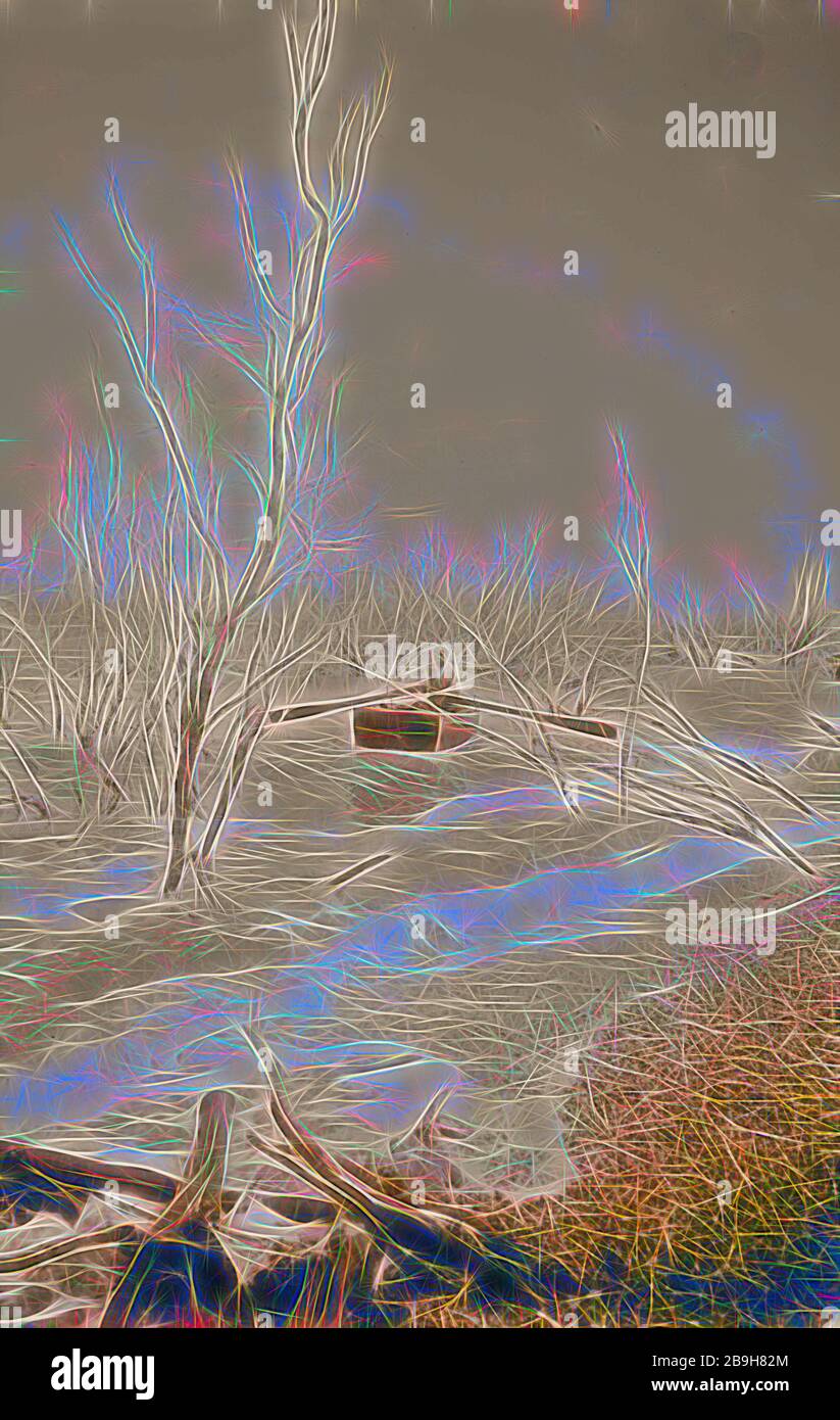 Around the Dead Sea Submerged forest at Ghor el-Mezraa. 1900, The Dead ...