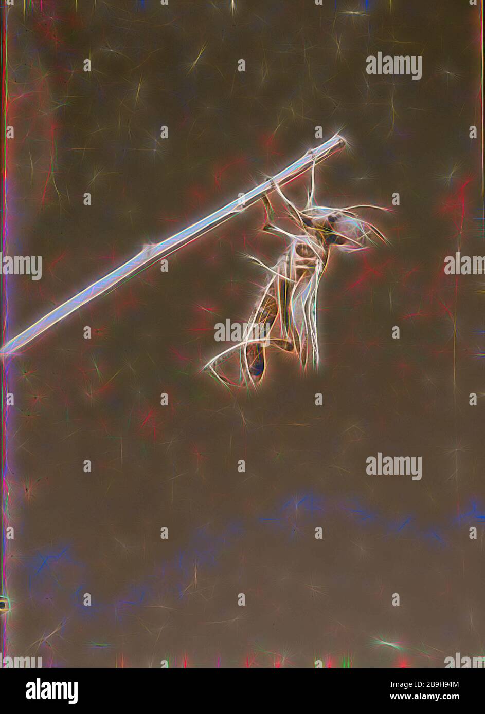 The terrible plague of locusts in Palestine, March-June 1915. A mishap ...