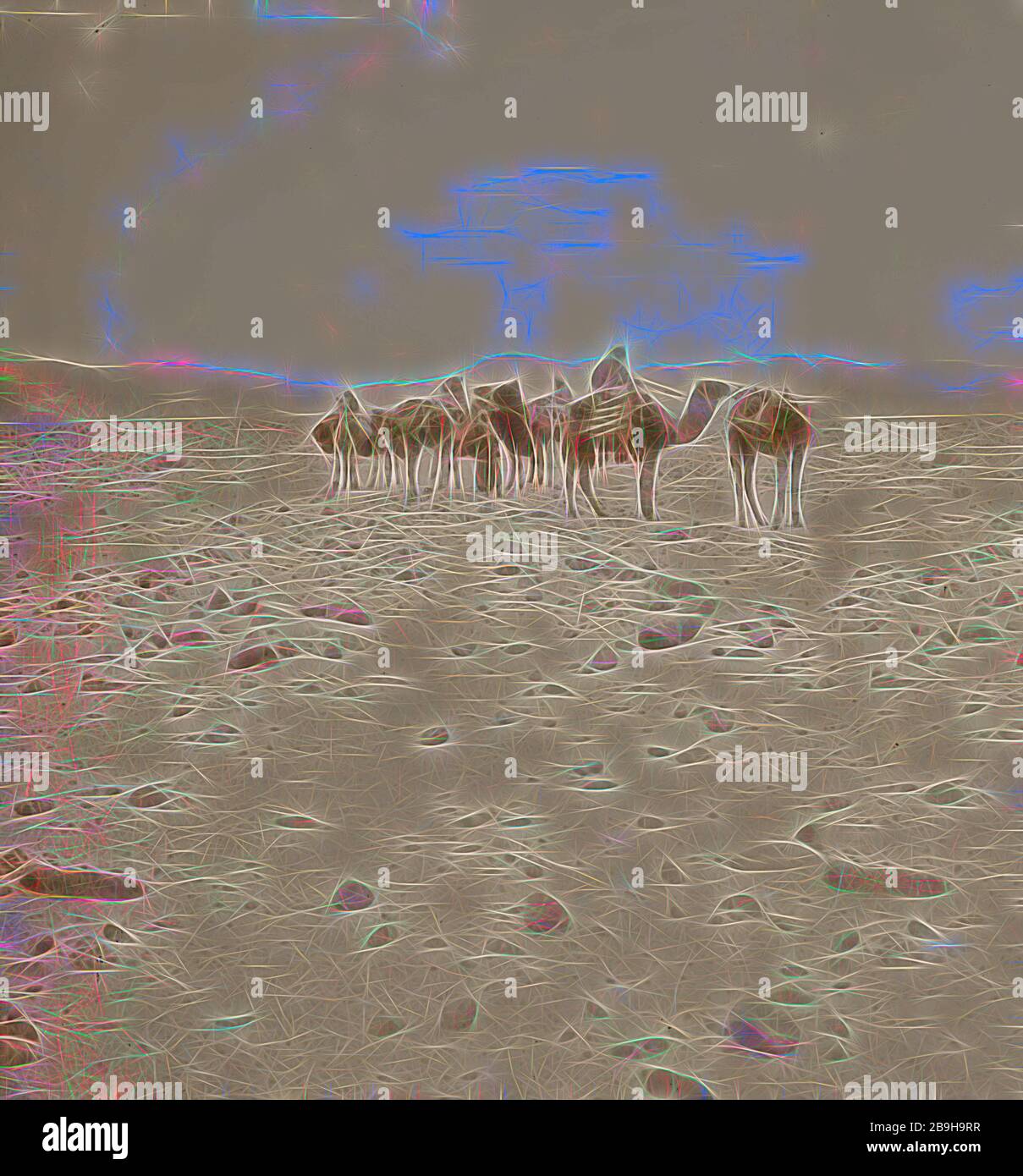 To Sinai via the desert. The wilderness of sin. 1900, Egypt, Sinai ...