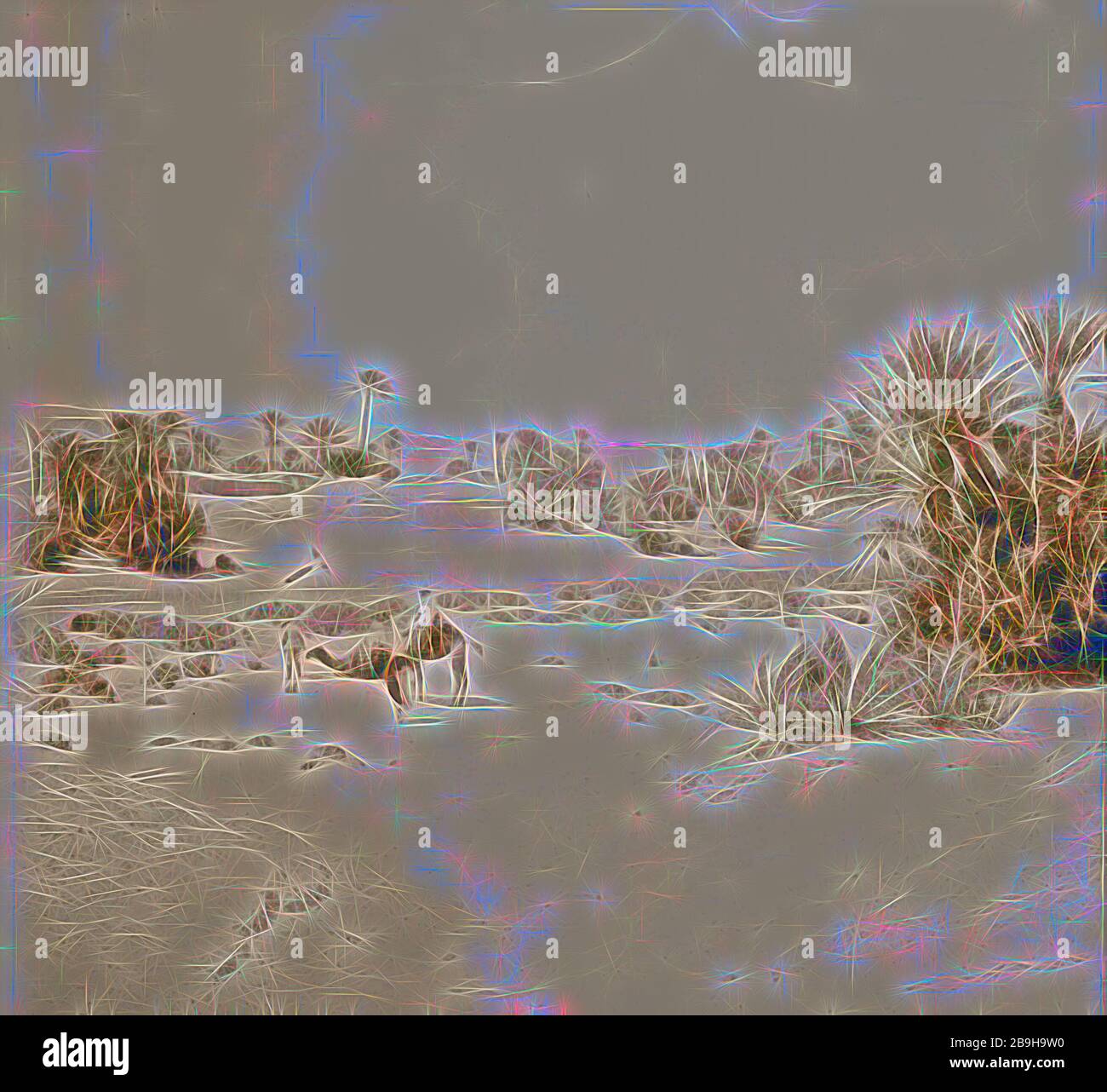 To Sinai via the Red Sea, Tor, and Wady Hebran. Village of el-Wad. 1900 ...