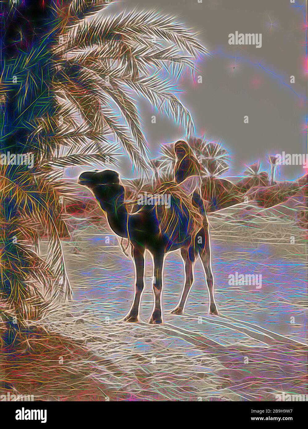 To Sinai via the Red Sea, Tor, and Wady Hebran. Scene at el-Wad. 1900 ...