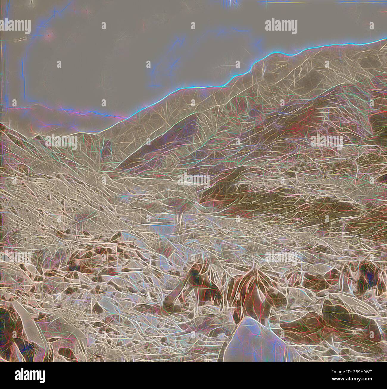 To Sinai via the Red Sea, Tor, and Wady Hebran. Narrow defile at the ...