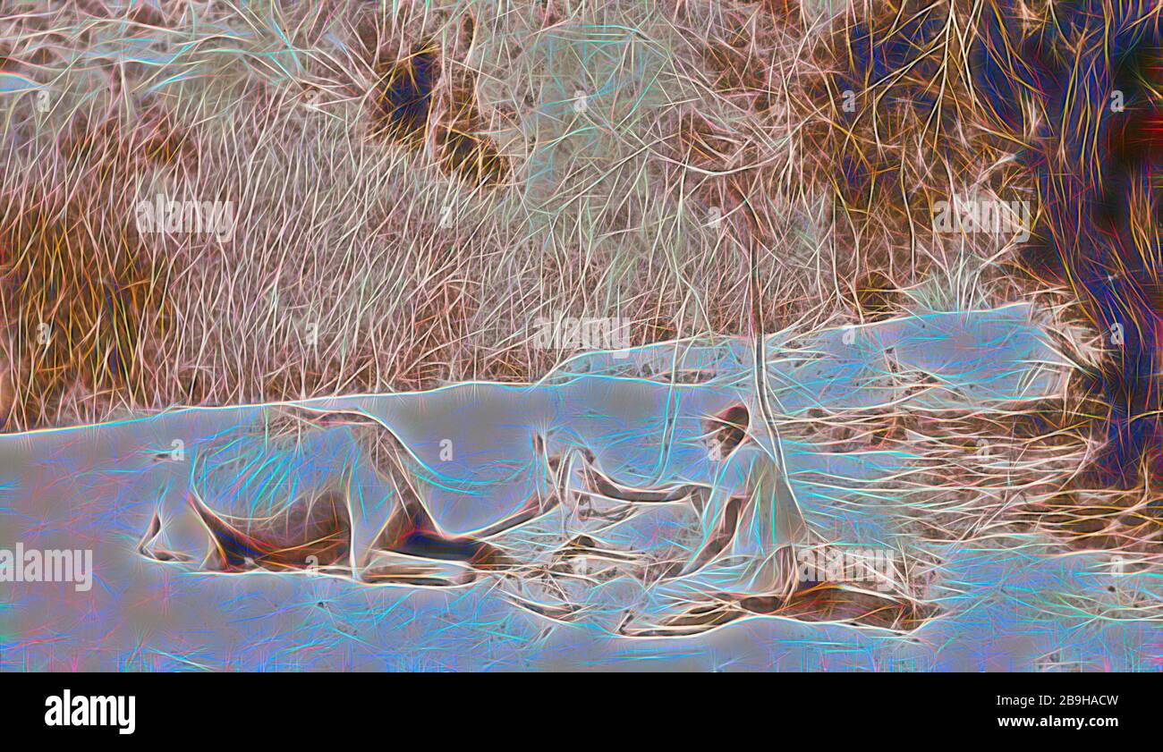 Sick camel hi-res stock photography and images - Alamy