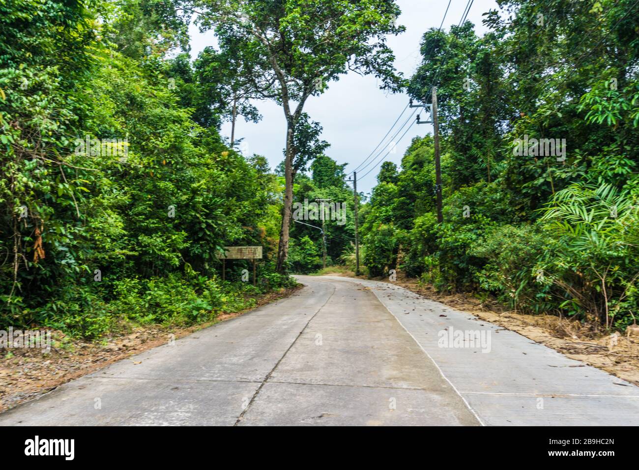 Rural country slope road with green tree forest, Winding road Stock ...