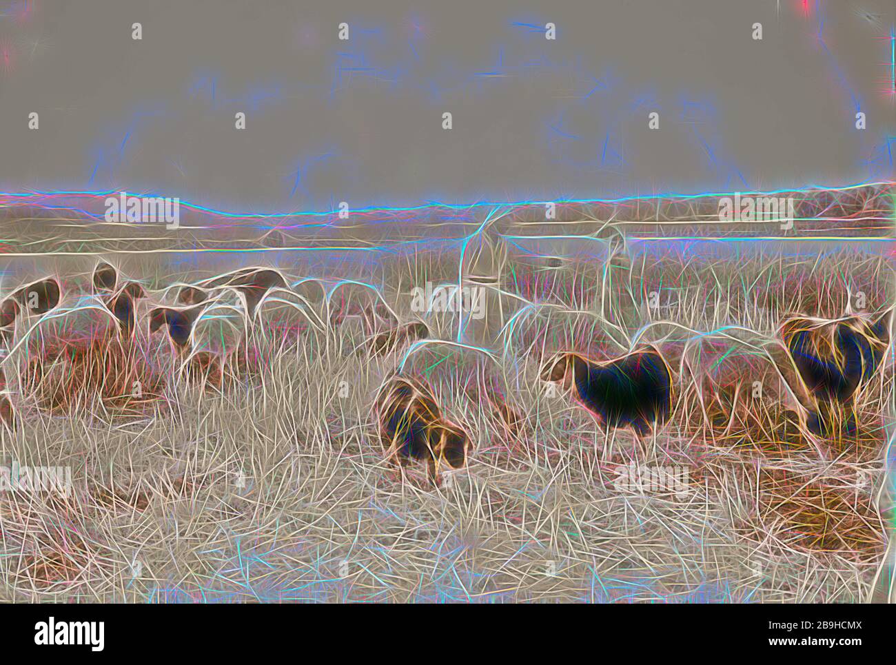 Bethlehem and surroundings Flocks in the Field of Boaz. Sheep in ...