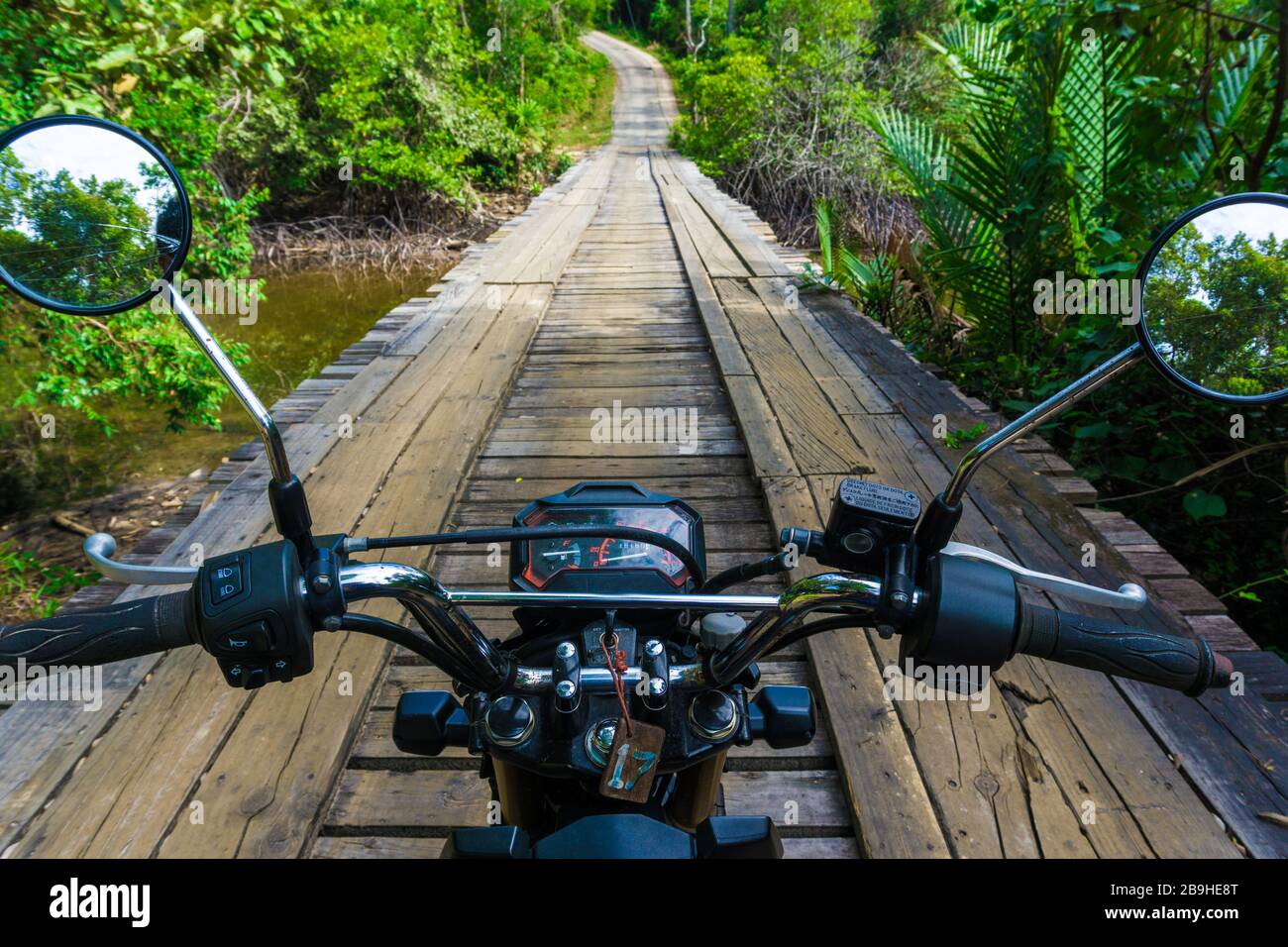Mountain biker driving in the forest hi-res stock photography and ...