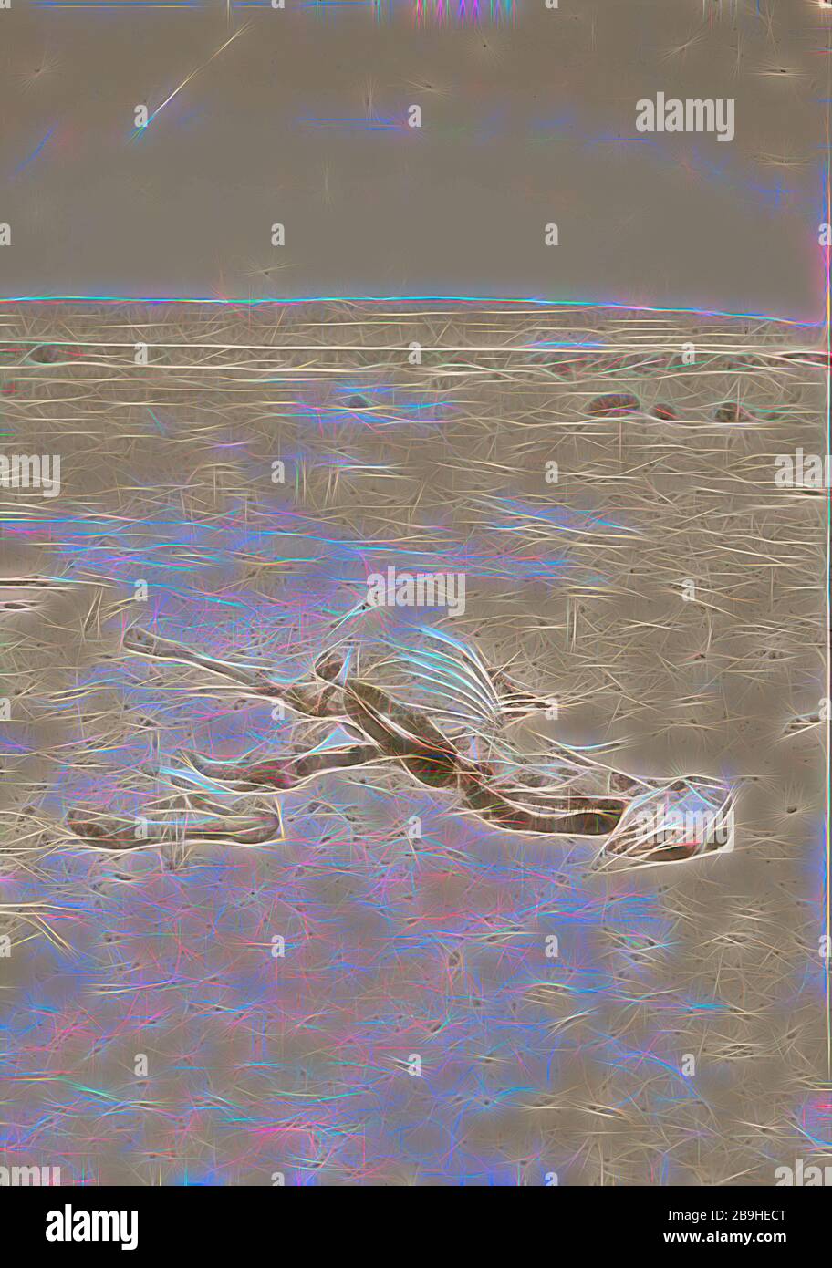 Locust plagues in Palestine. Methods of fighting the locust plague. The ...