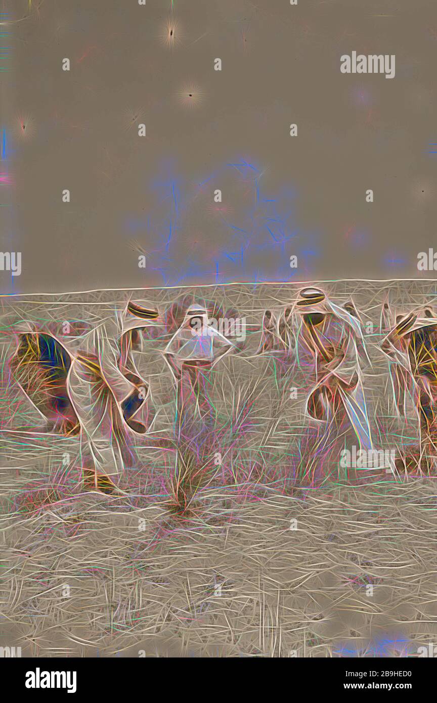 Locust plagues in Palestine. Methods of fighting the locust plague ...