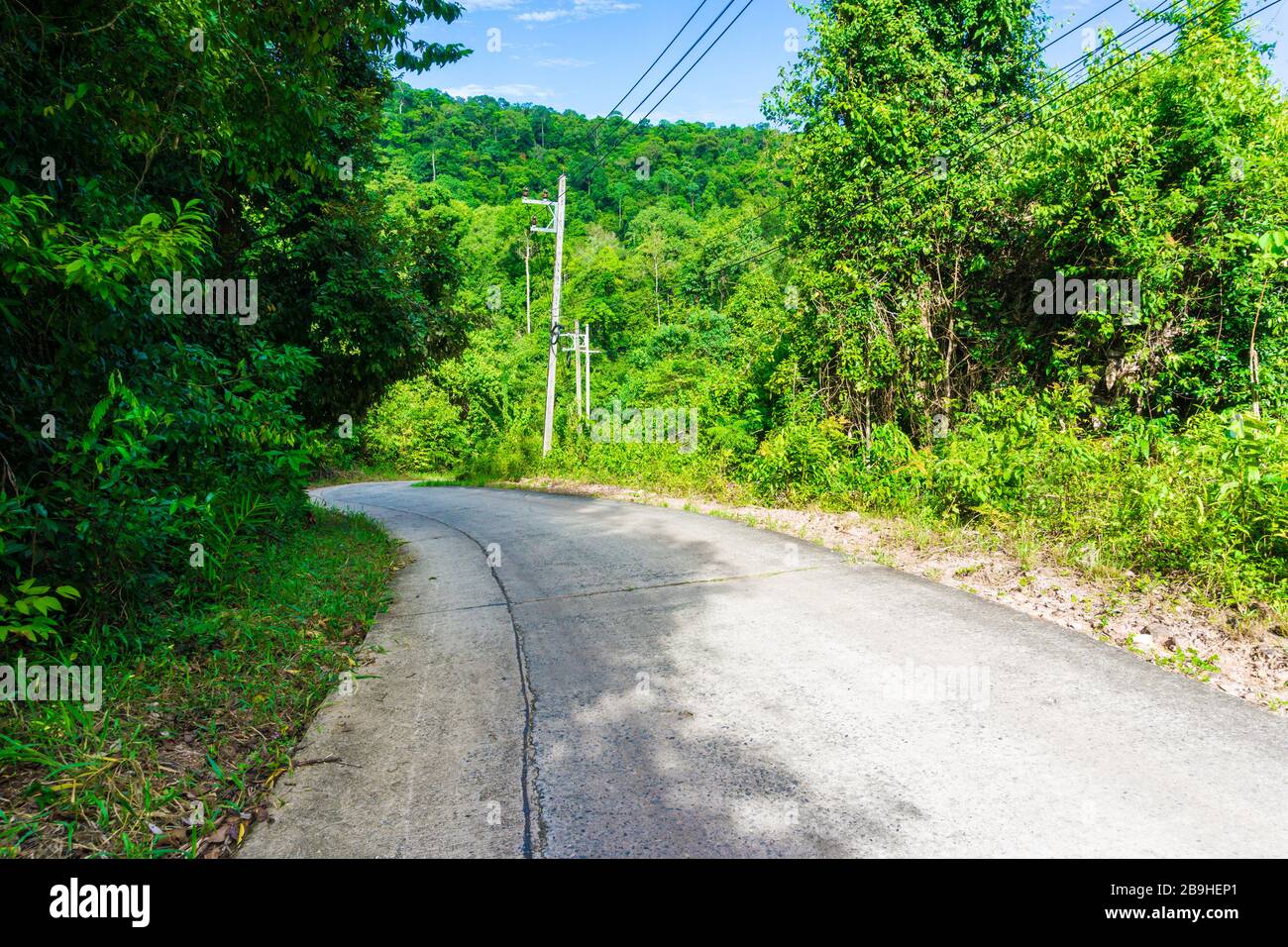 Rural country slope road with green tree forest, Winding road Stock ...