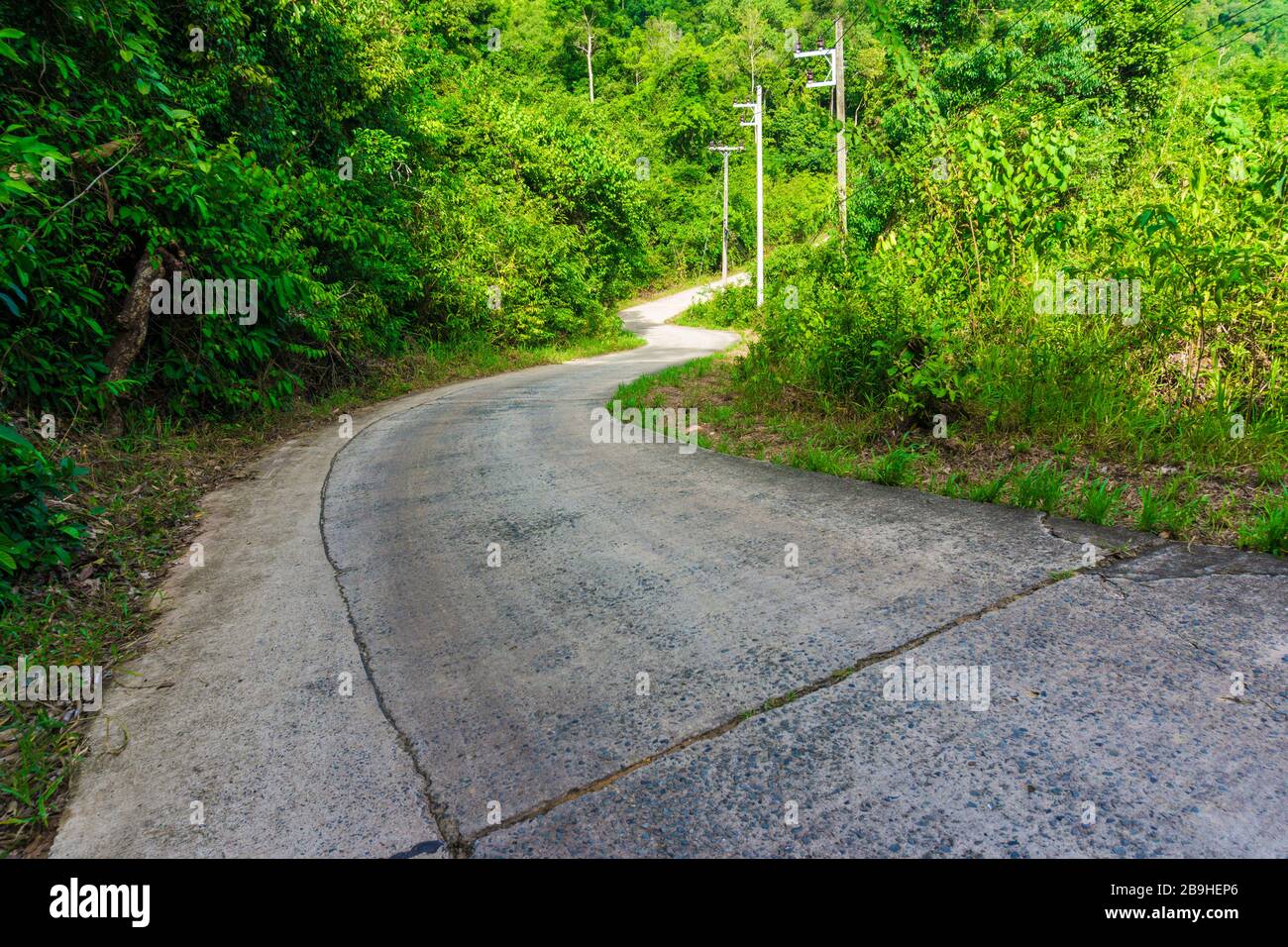 Rural country slope road with green tree forest, Winding road Stock ...