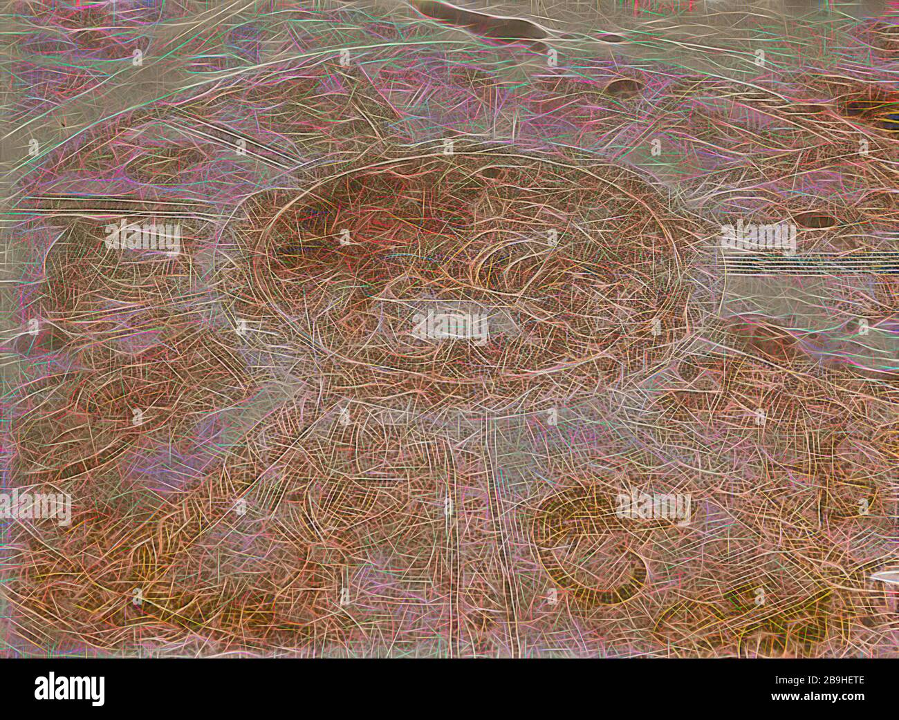 Various subjects of archaeological interest. Mosaic floor at Beth Alpha ...