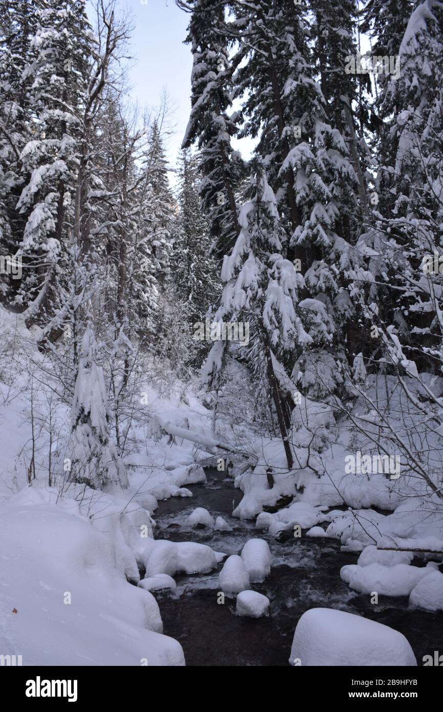 Cold Spring Creek seen on a winter hike to Tamawanas Falls, near Mount ...