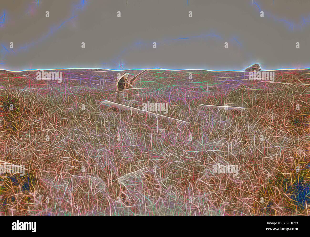 Gamala israel hi-res stock photography and images - Alamy