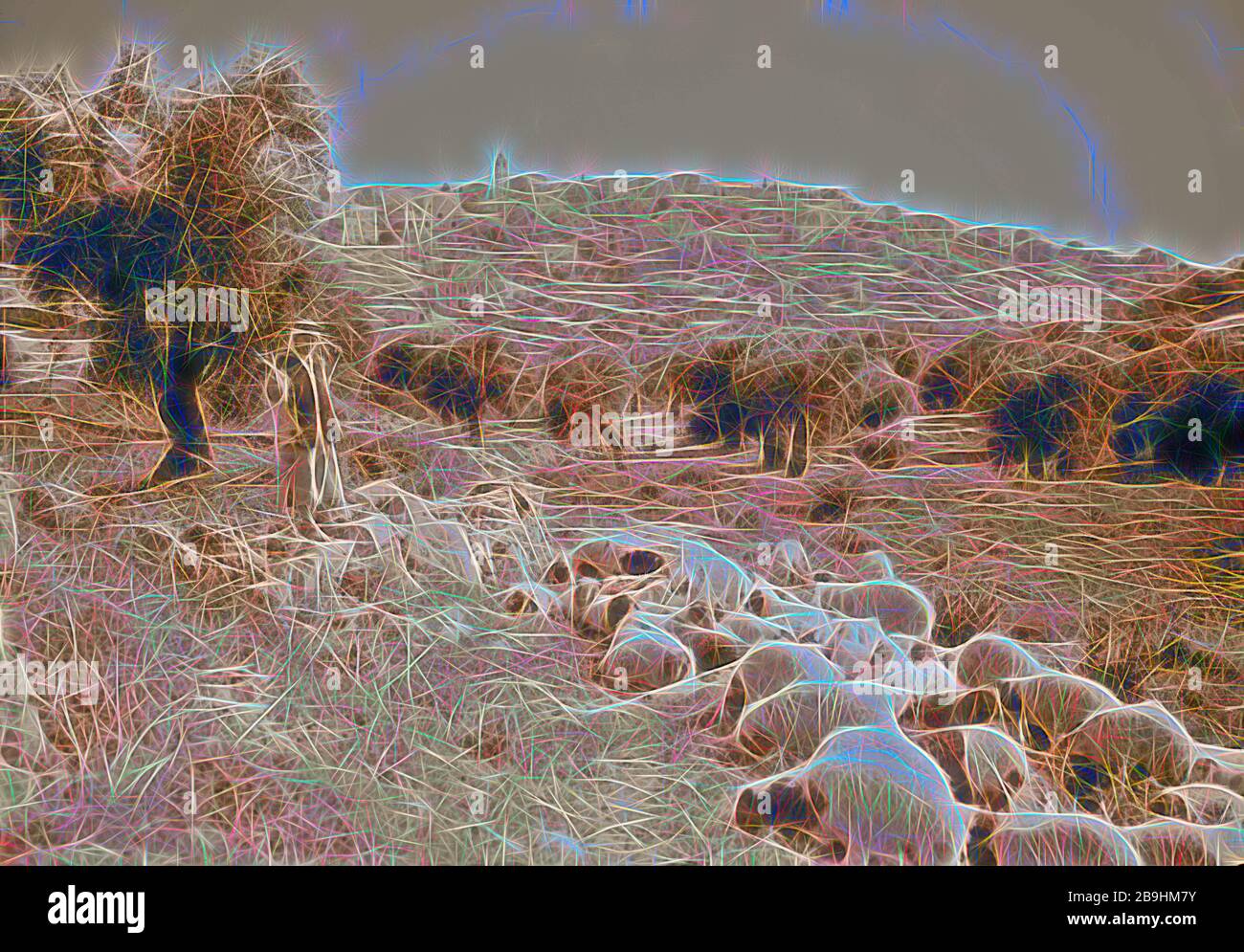 Bethlehem from the S. west with sheep. 1934, West Bank, Bethlehem ...