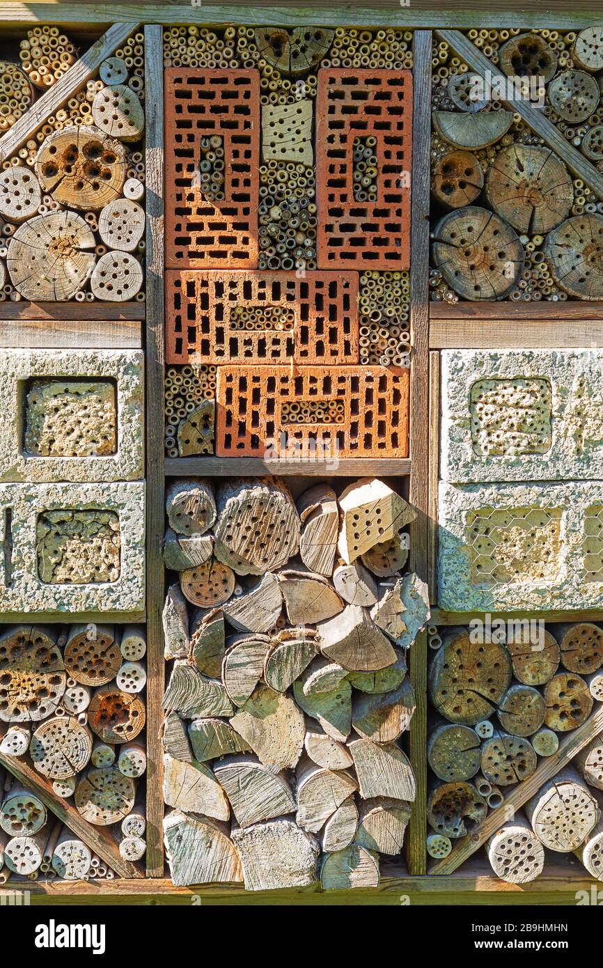 View of an insect hotel ready to receive its guests Stock Photo - Alamy
