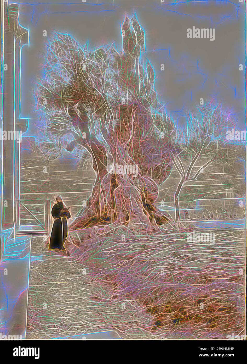 Franciscan father praying under 'Tree of Agony'. 1934, Jerusalem ...