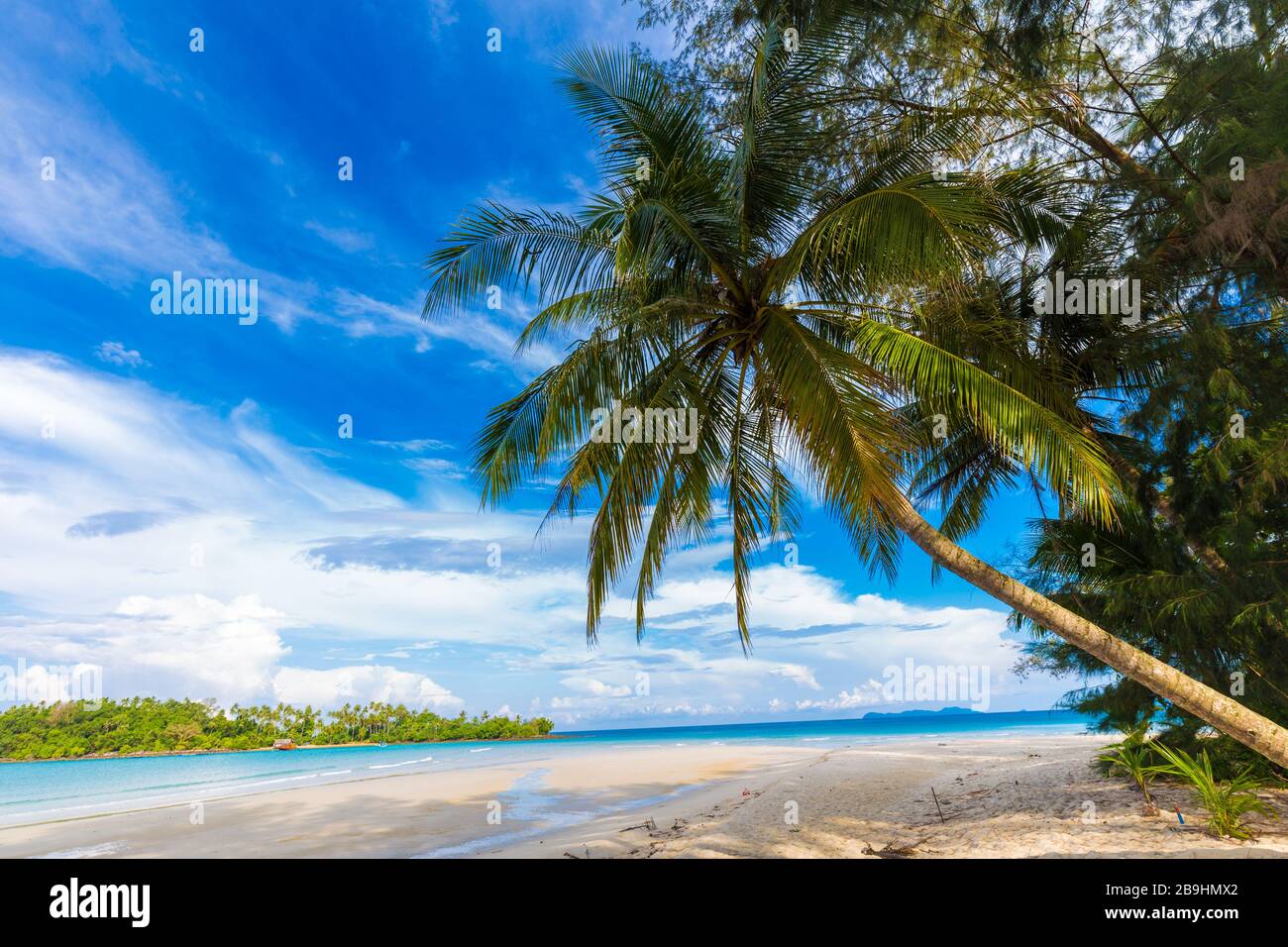 Paradise idyllic sea beach with coconut palm tree tropical island Stock ...