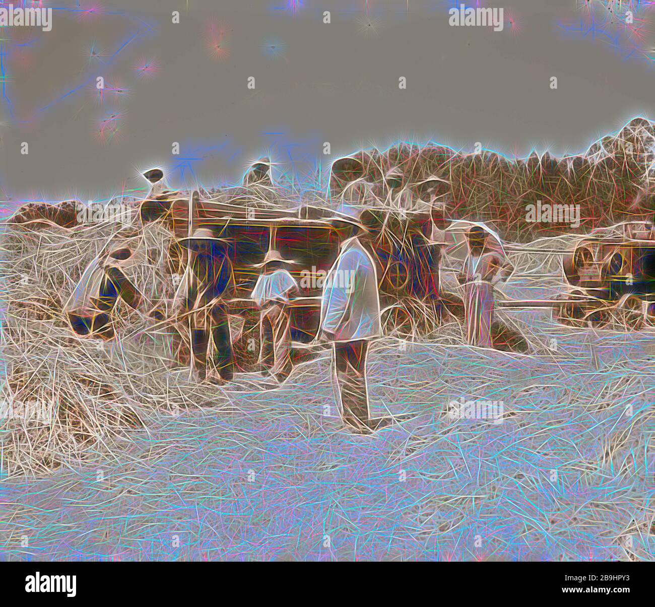 Harvesting. Jewish colony. Photograph possibly shows Mikveh (Mikve ...