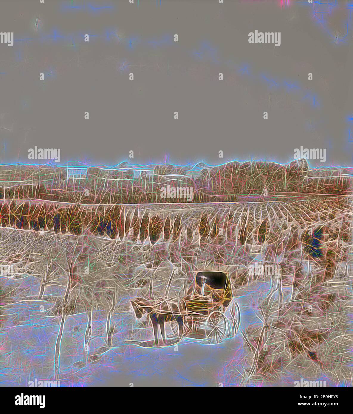 Jewish colony. Photograph shows Mikveh (Mikve) Israel Agricultural ...