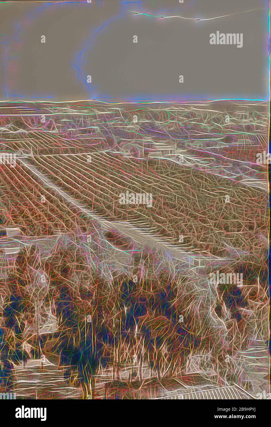 Rehoboth. 1935. 1935, Israel, Reḥovot Stock Photo - Alamy