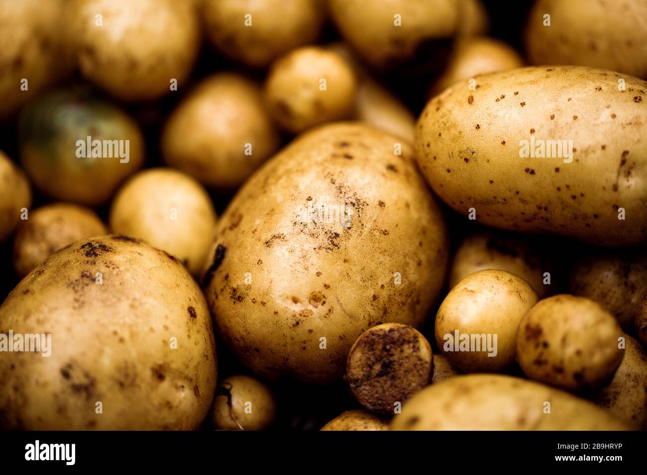 Potatoes pile hi-res stock photography and images - Alamy