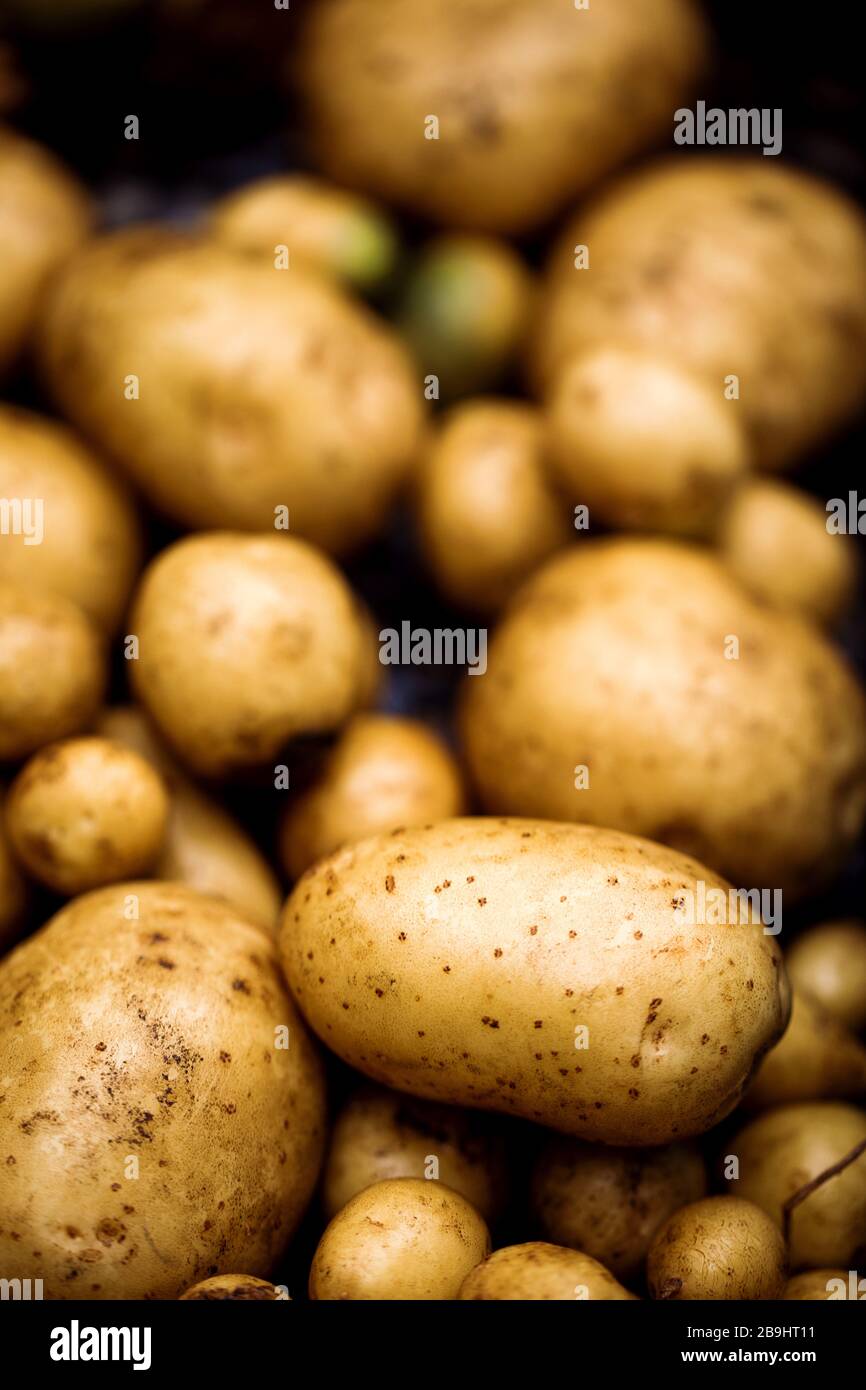 Bulk potatoes hi-res stock photography and images - Alamy