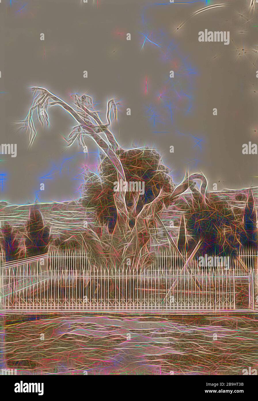 Hebron. Abraham's Oak Stock Photo - Alamy