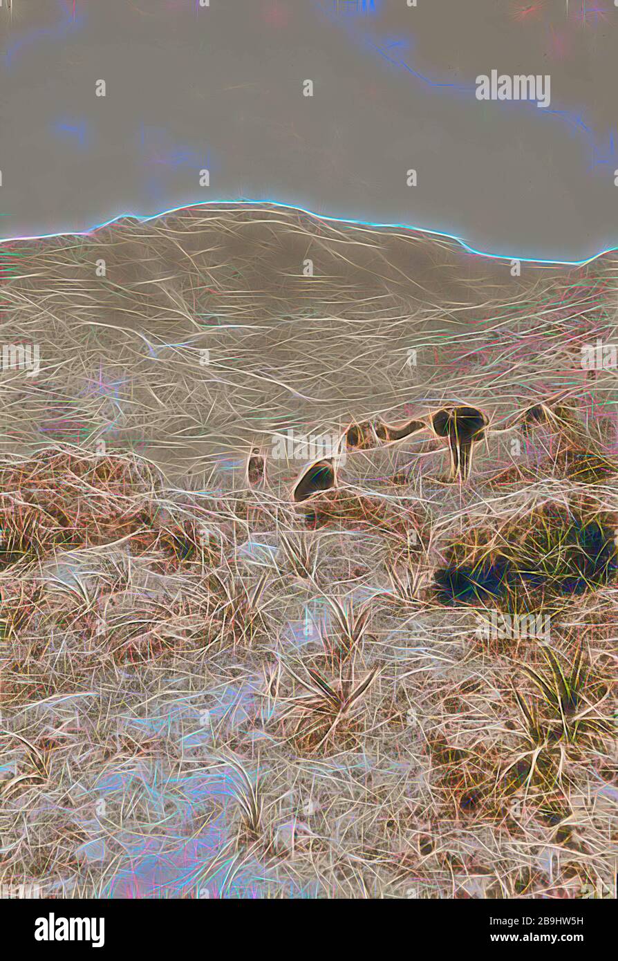 Gamala israel hi-res stock photography and images - Alamy