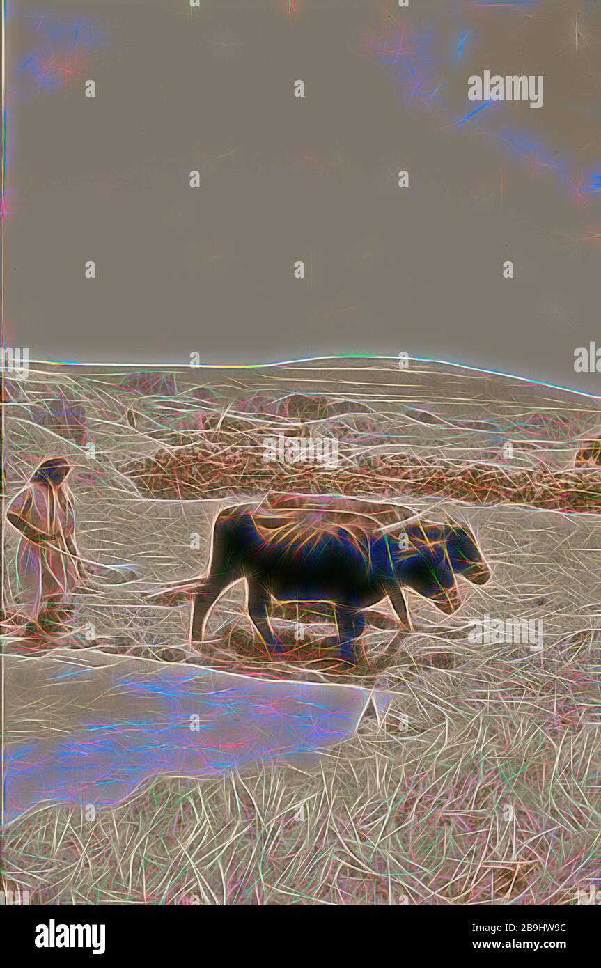 Threshing instrument hi-res stock photography and images - Alamy