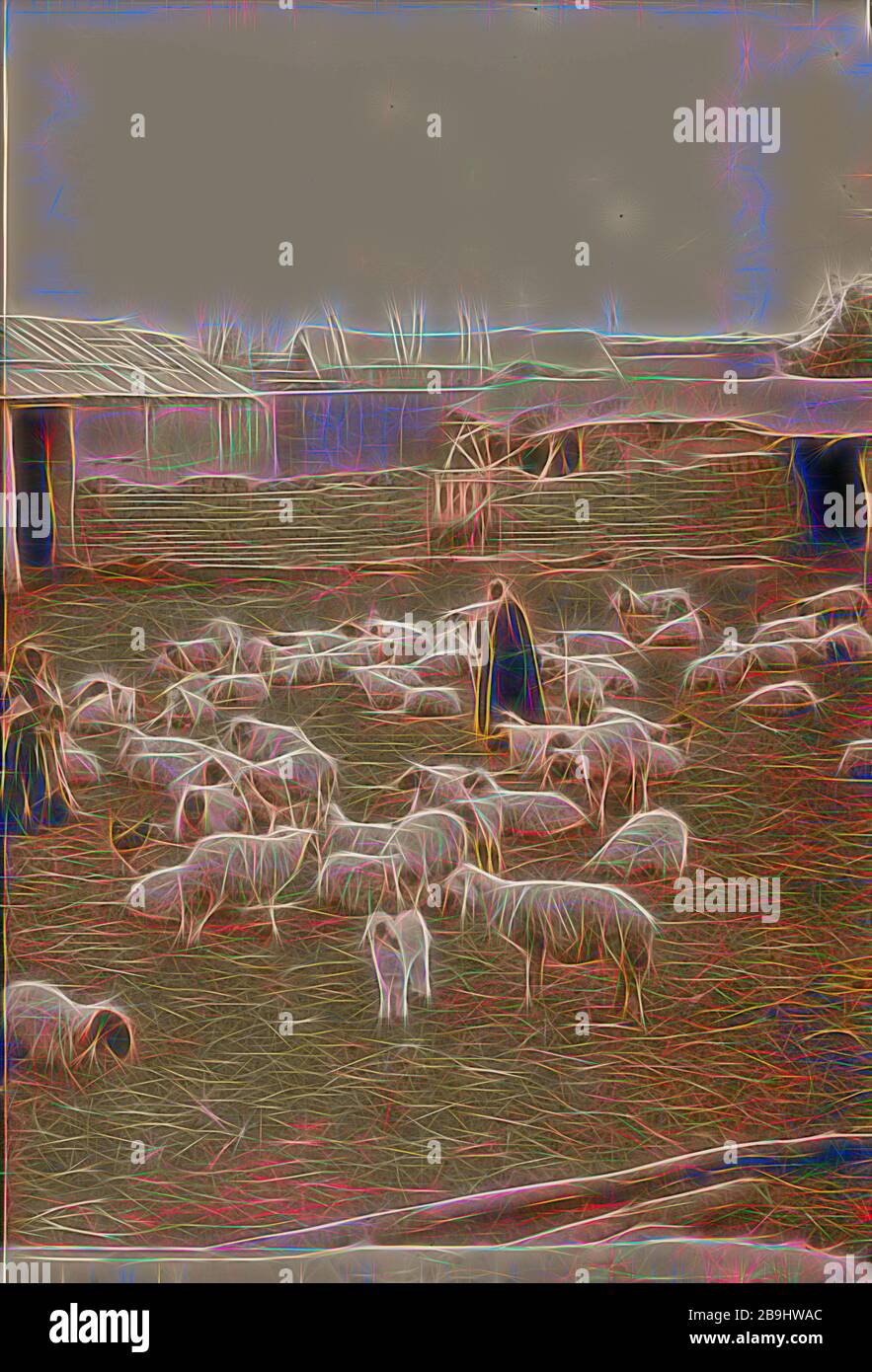 Sheep in the fold. 1900, Middle East, Israel and/or Palestine Stock ...