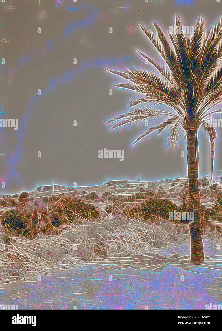 Southern Palestine. Site of Askalon. 1900, Israel, Ashḳelon Stock Photo ...