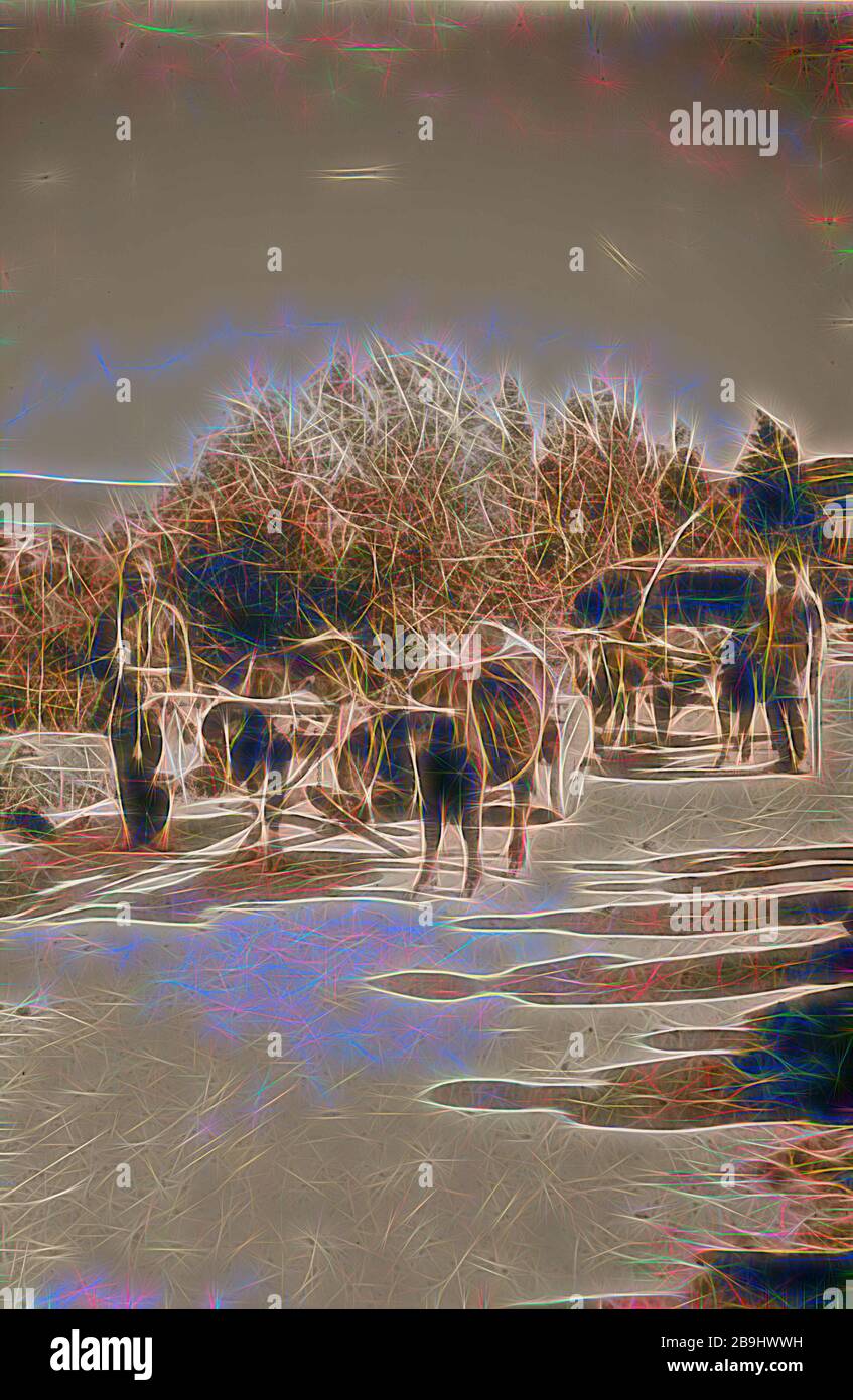 Ox carts 1900 hi-res stock photography and images - Alamy