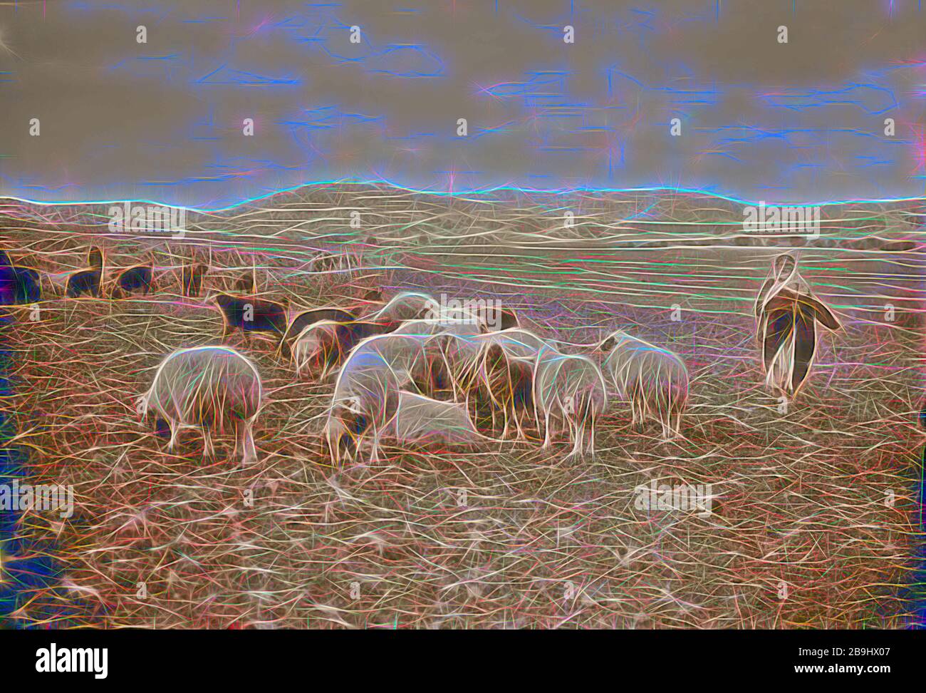 Shepherds fields bethlehem israel hi-res stock photography and images ...