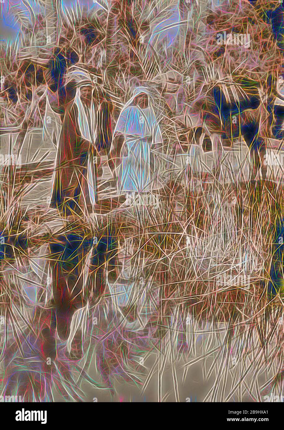 Sinai (Spring of Moses). 1898, Egypt, Sinai Stock Photo - Alamy