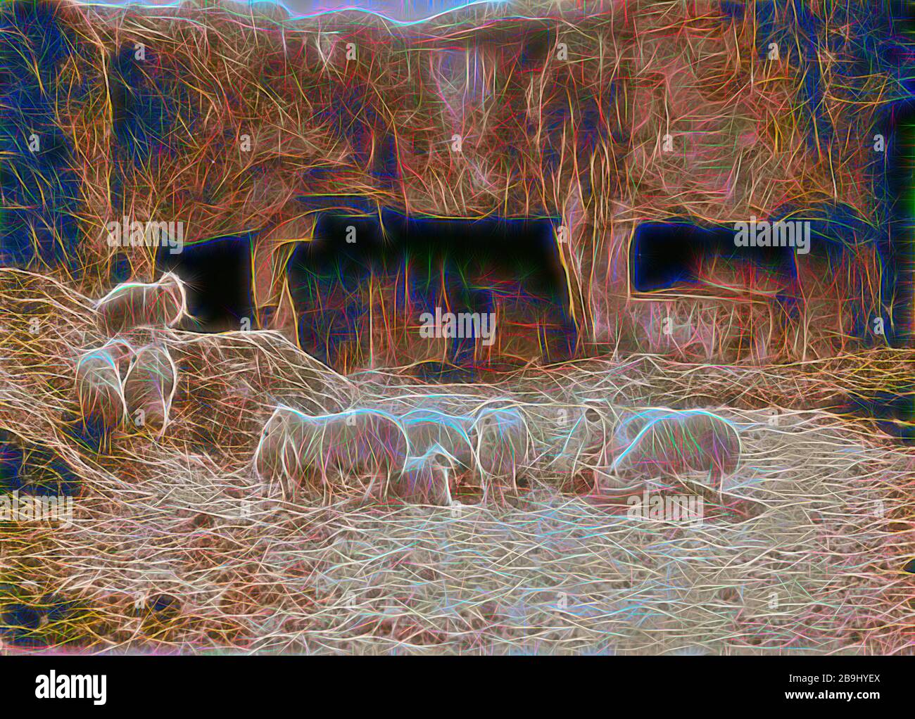 shepherd life, illustrating the Twenty Third Psalm 'Thou preparest a ...