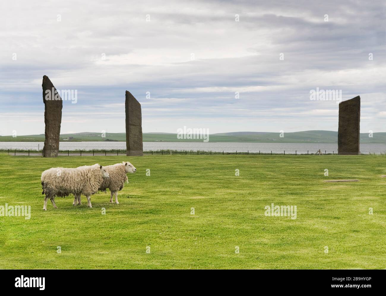 Pictish standing stones hi-res stock photography and images - Alamy