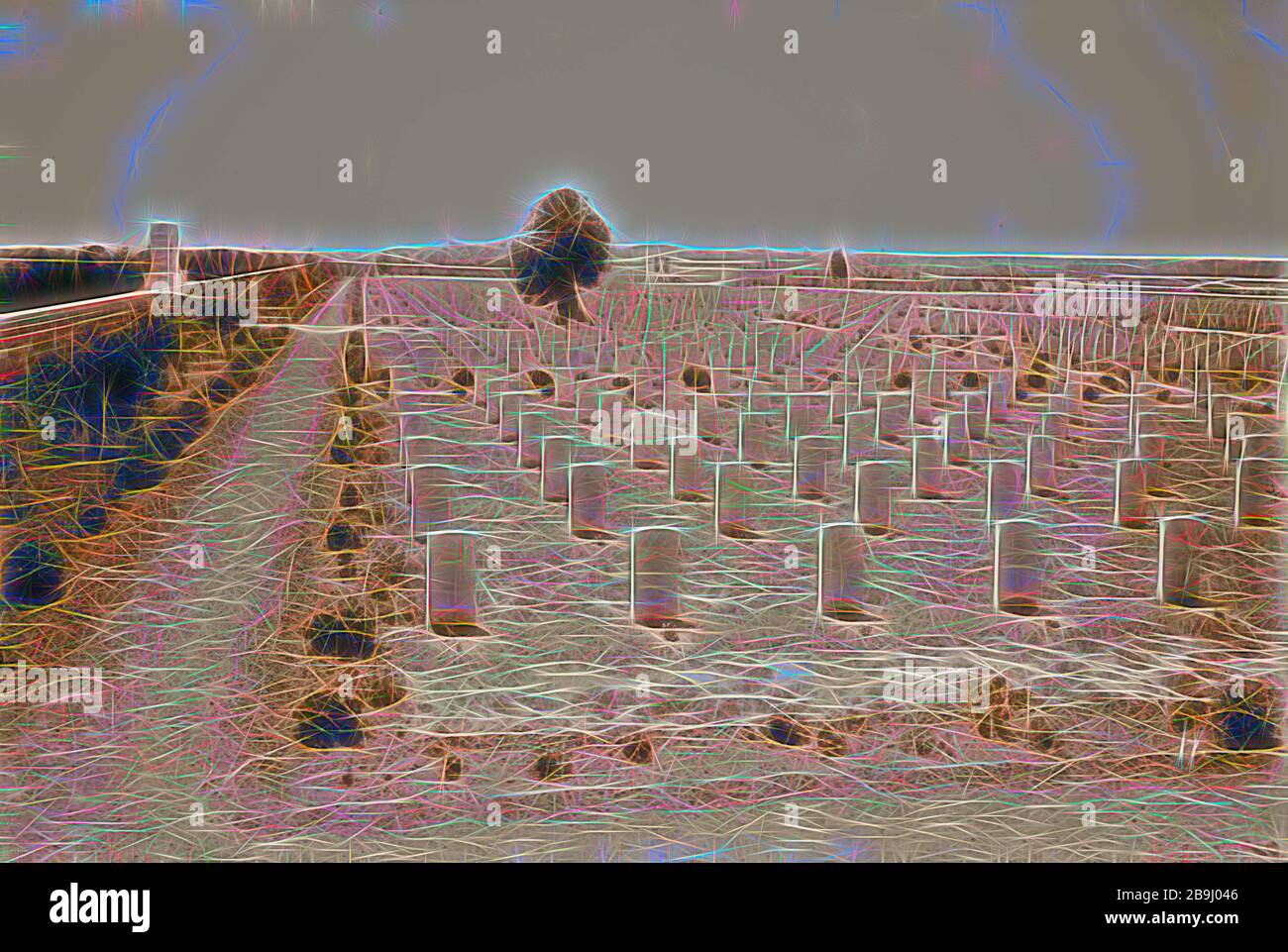 Various results of the war War cemetery at Gaza, new view. 1925, Gaza ...