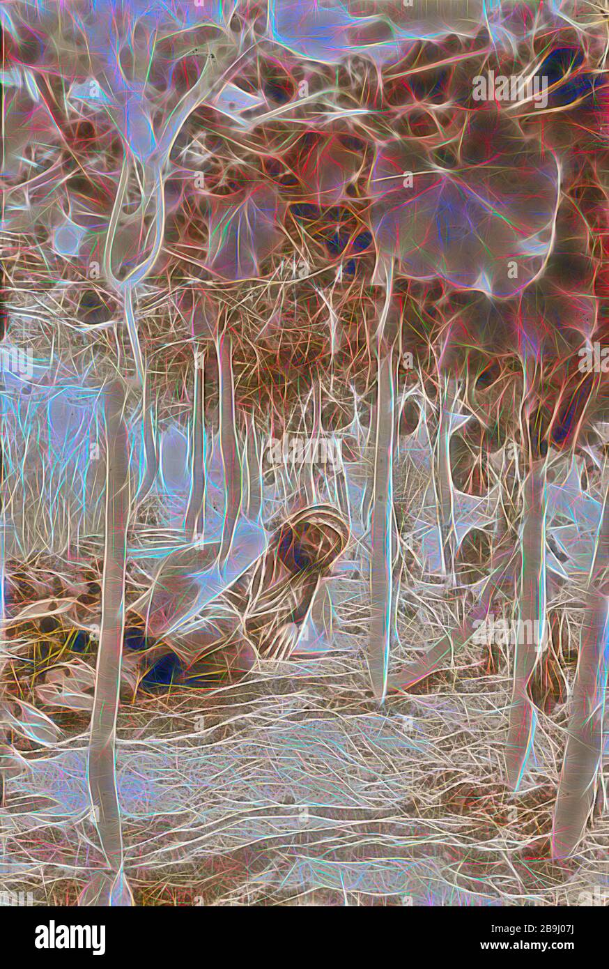 Lagenaria vulgaris gourds hi-res stock photography and images - Alamy