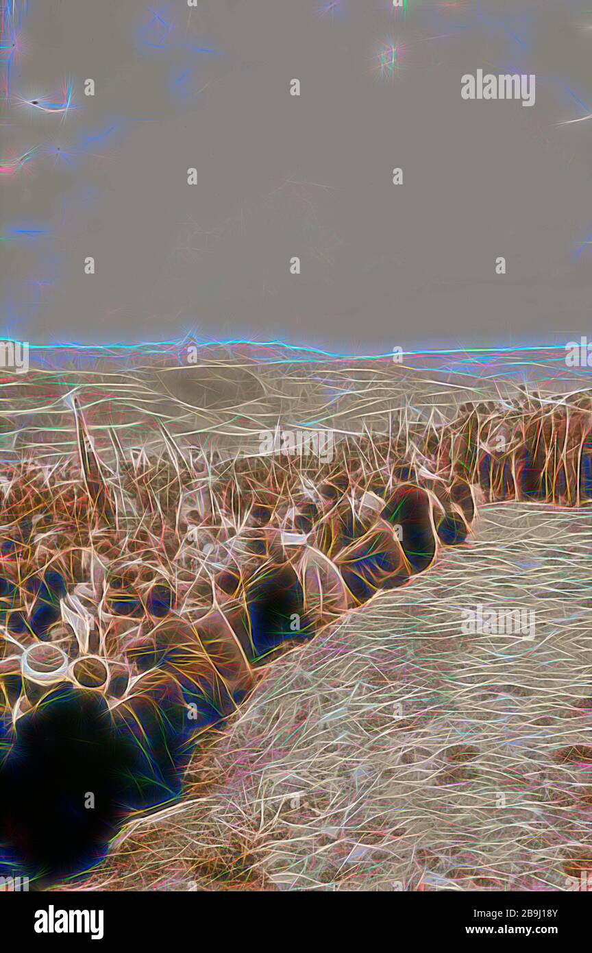 Neby, Nebi Musa IV 1898, Nabi Musa is the name of a site in the West ...