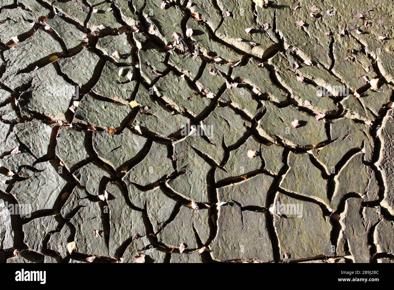 Cracked sludge surface Stock Photo - Alamy