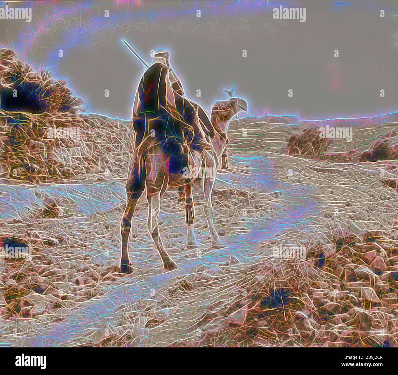 Camel rider approaching hi-res stock photography and images - Alamy