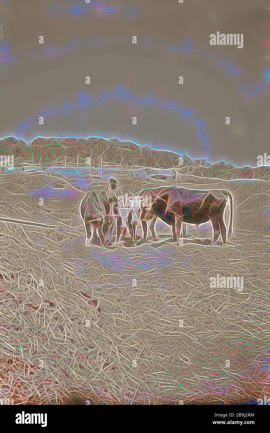 Threshing with cattle?. 1898, Middle East, Israel and/or Palestine ...