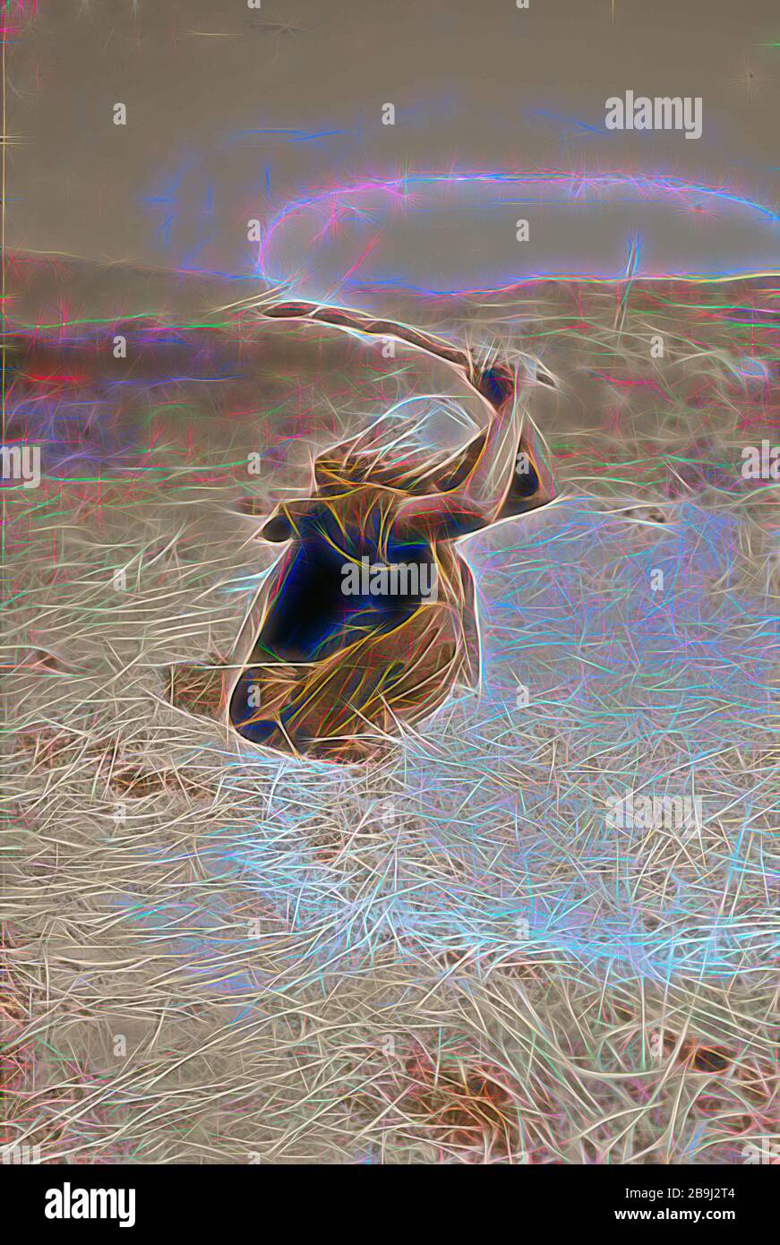 Woman threshing with flail. 1900 Stock Photo - Alamy