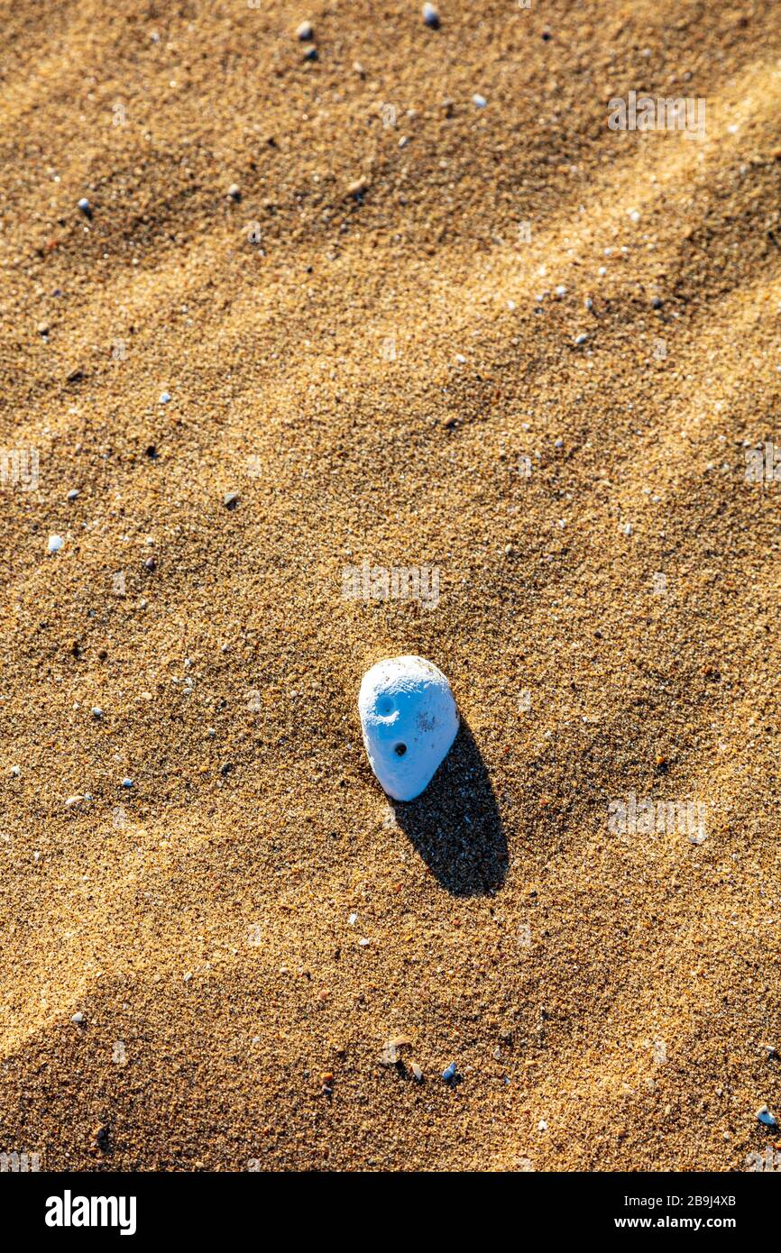 Chalk alien face weathered chalk on the sandy beach at Broadstairs ...