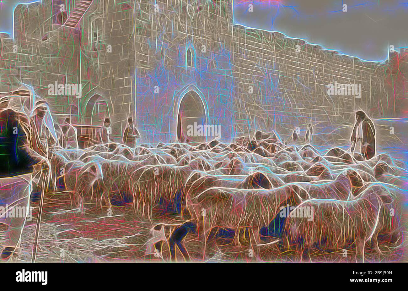 Sheep gate jerusalem hi-res stock photography and images - Alamy